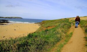 10 Great Short Walks in South Cornwall to Try This Spring | The Valley