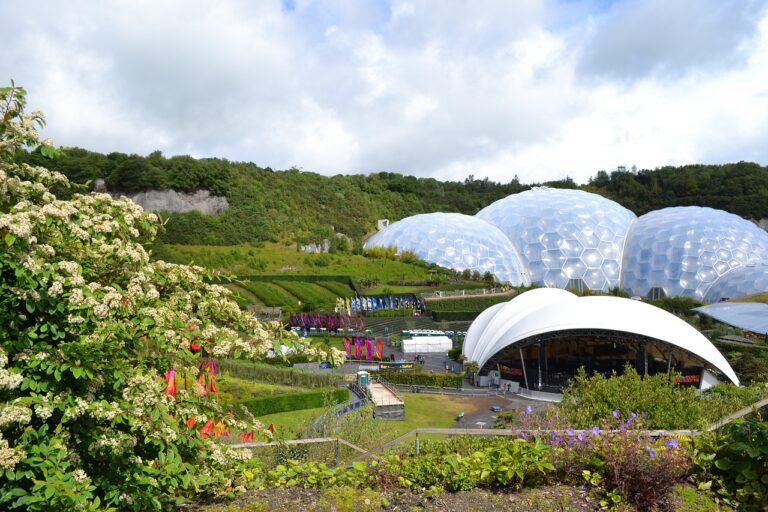 10 Things to Do in Cornwall For Kids | The Valley