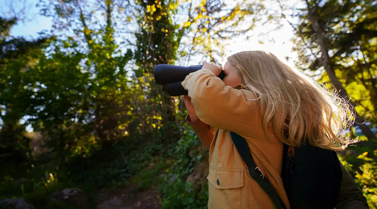 Explore Bissoe Valley Nature Reserve | Location Guide | The Valley